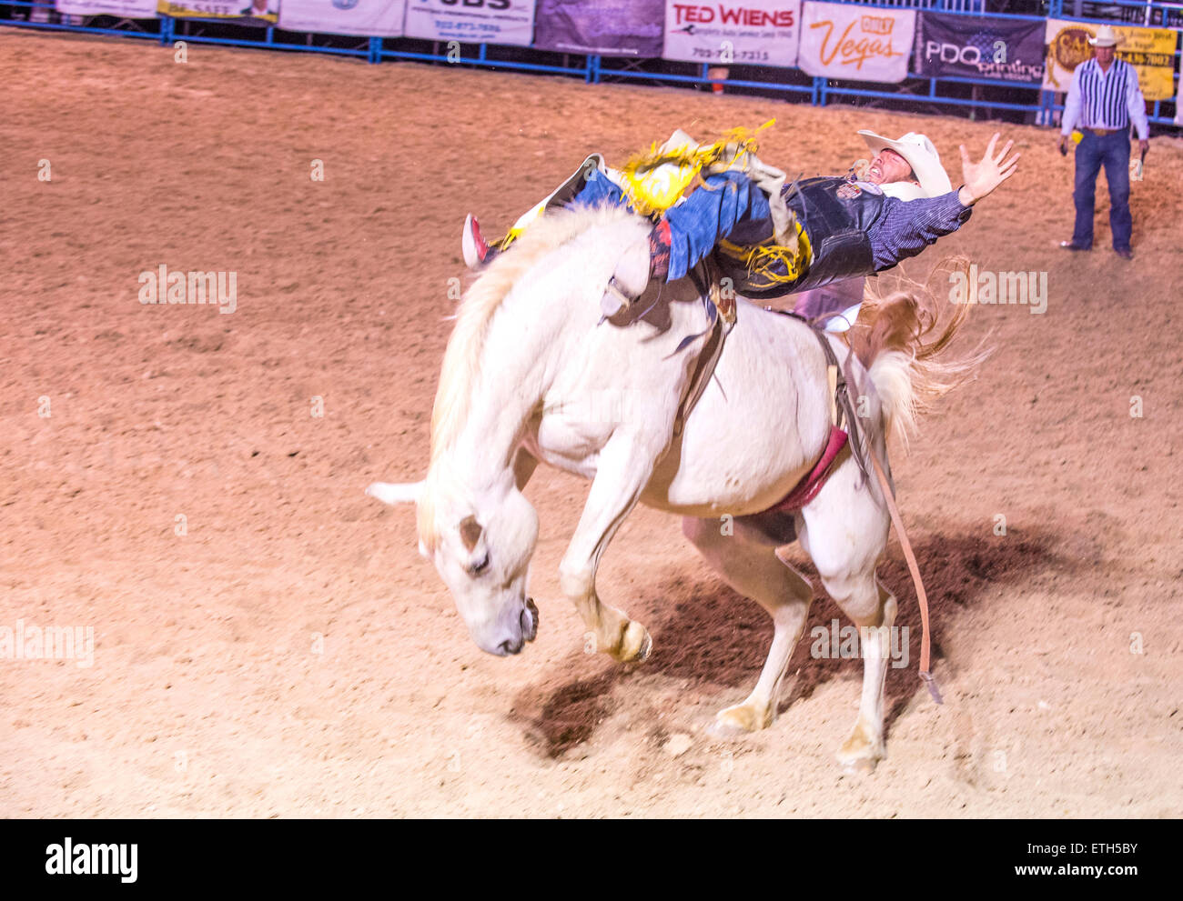 Cowboy Participating in a Bucking Horse Competition at the Helldorado ...