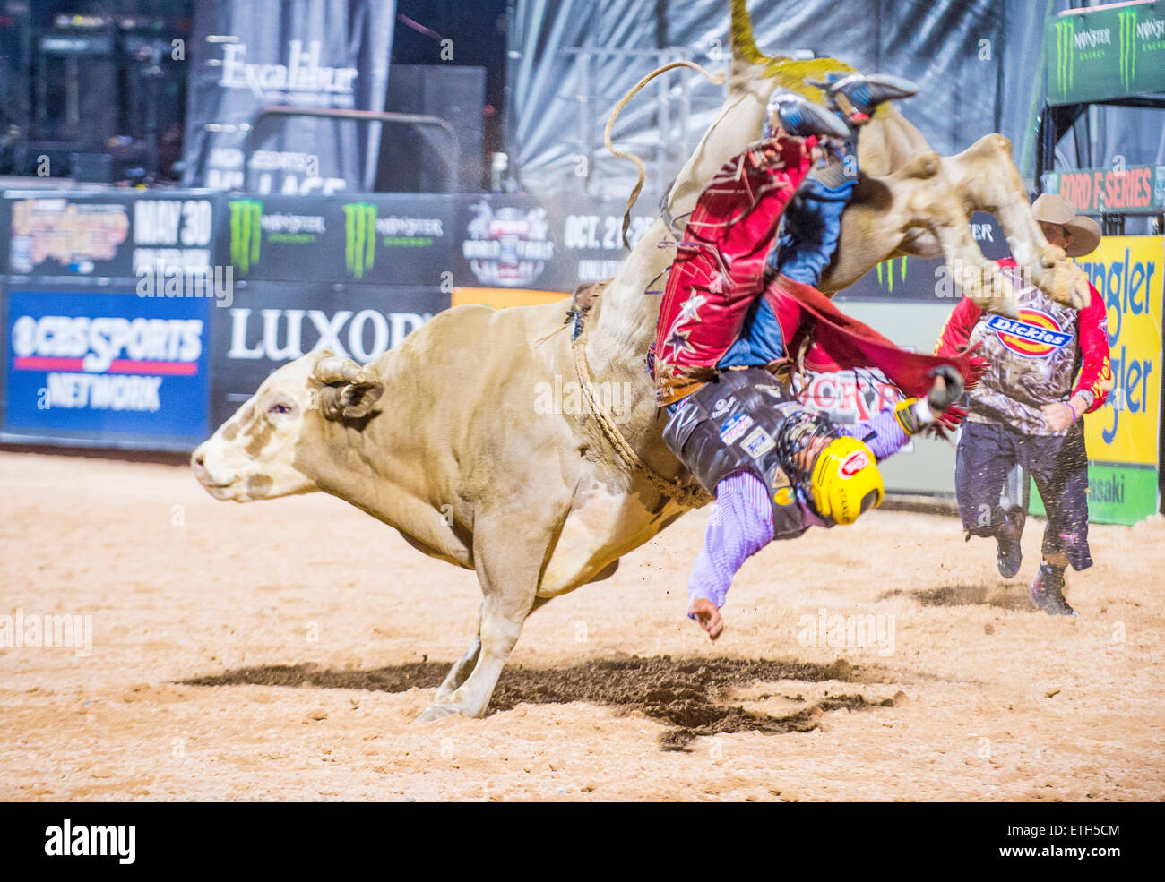 Cowboy Participating in a Bull riding Competition at the Las Cowboy ...