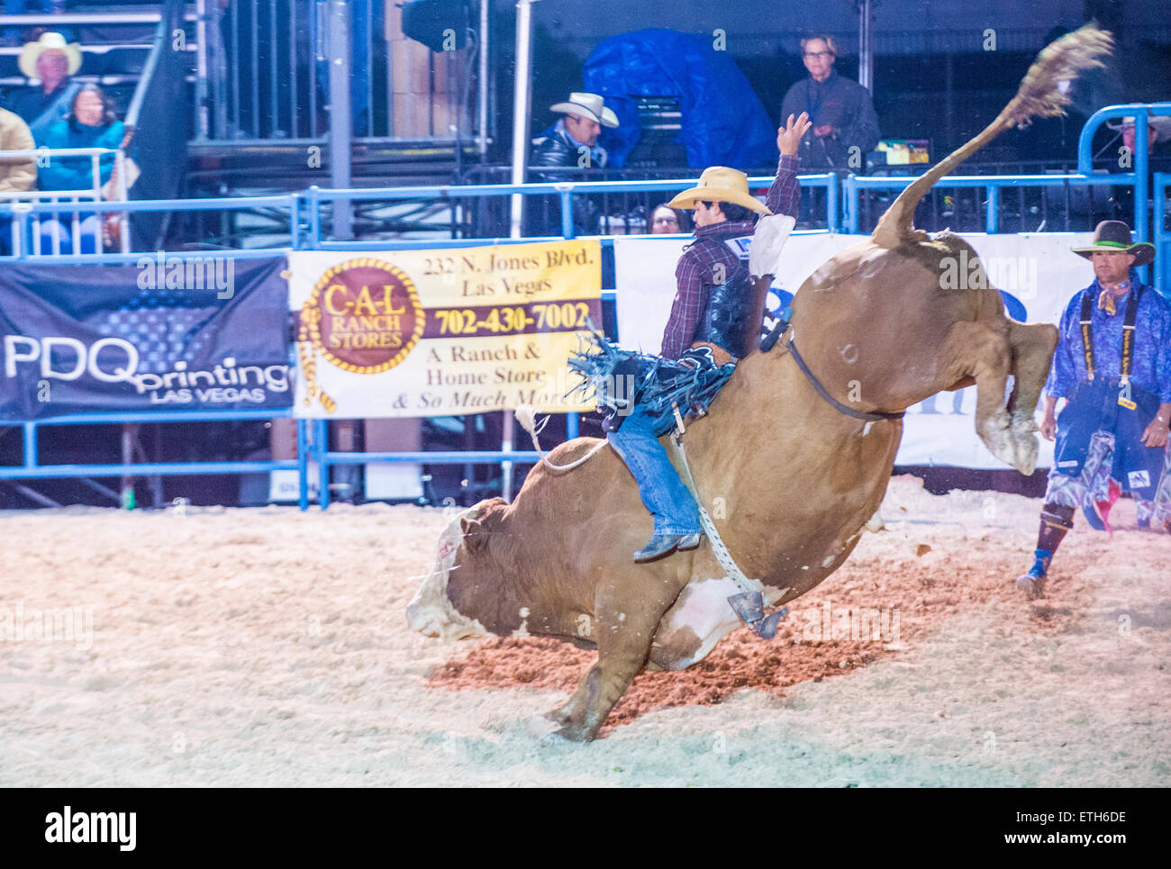 Cowboy Participating in a Bull riding Competition at the Helldorado ...