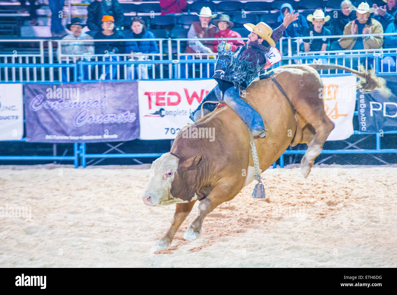 Cowboy Participating in a Bull riding Competition at the Helldorado ...