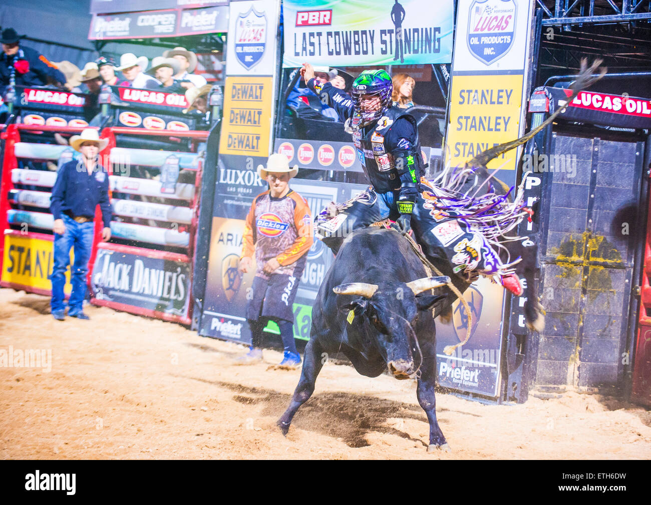 Cowboy Participating in a Bull riding Competition at the Las Cowboy ...