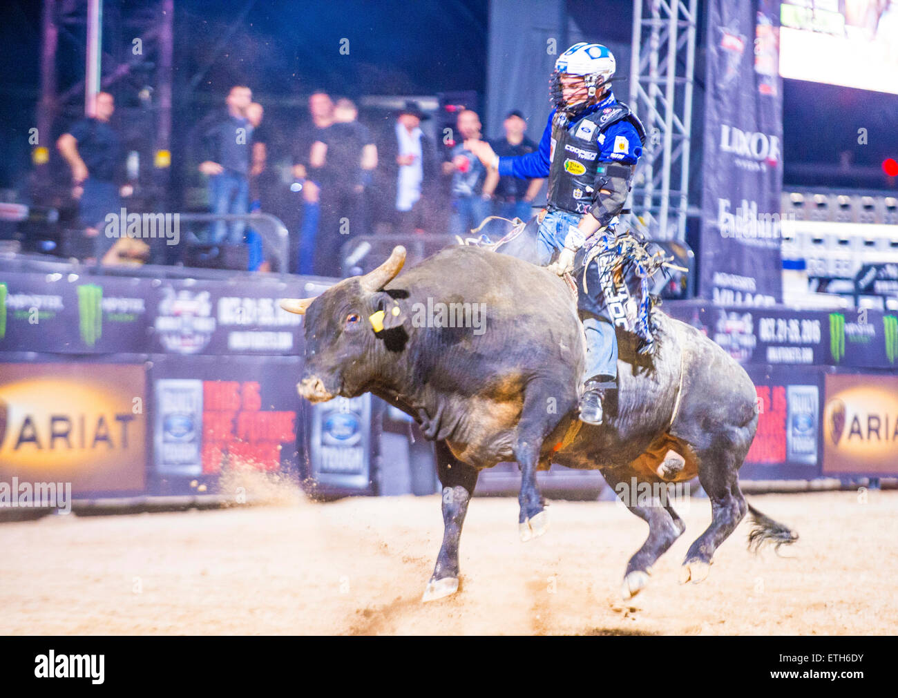Cowboy Participating in a Bull riding Competition at the Last Cowboy ...