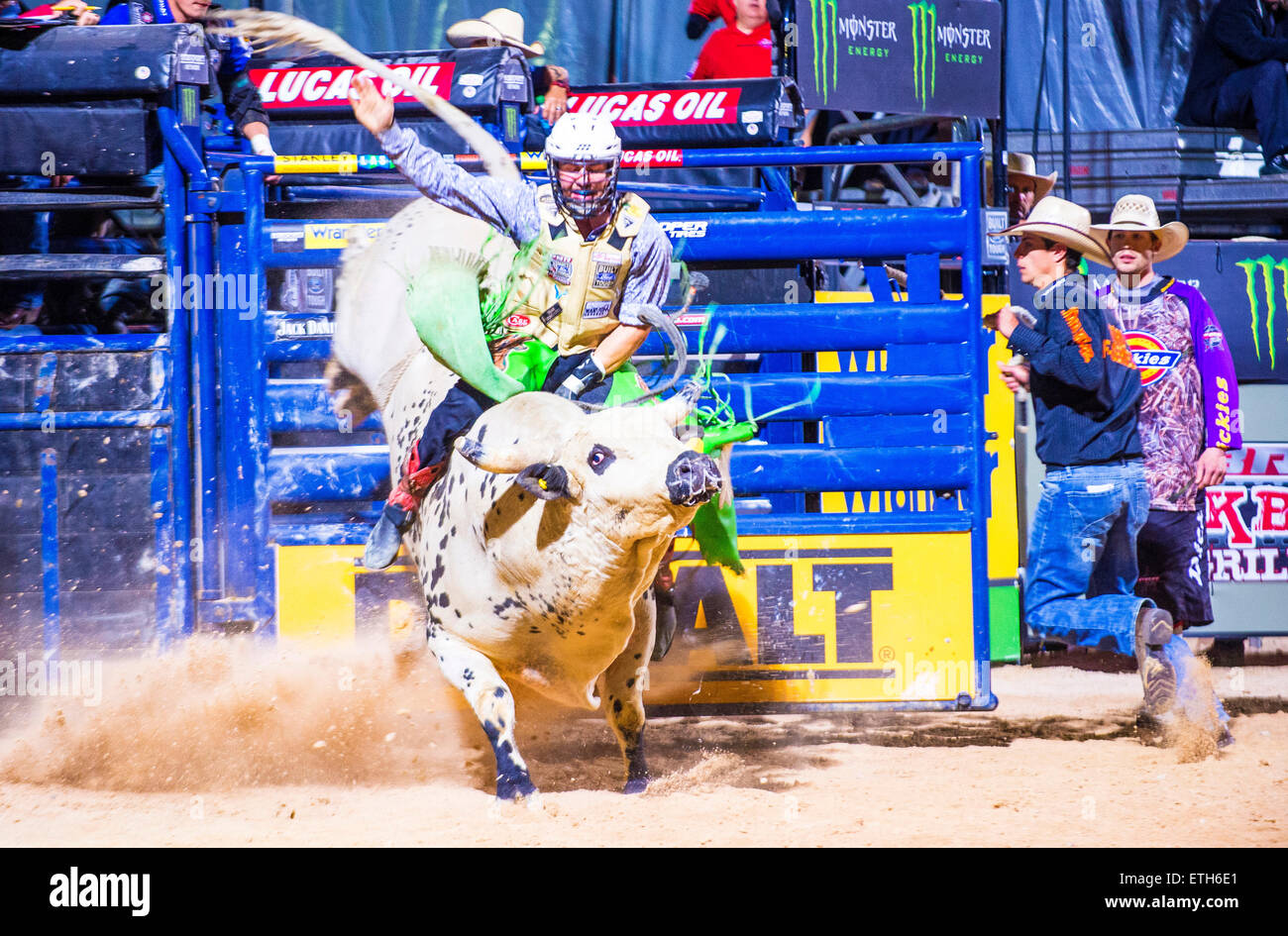 Cowboy Participating in a Bull riding Competition at the Last Cowboy ...