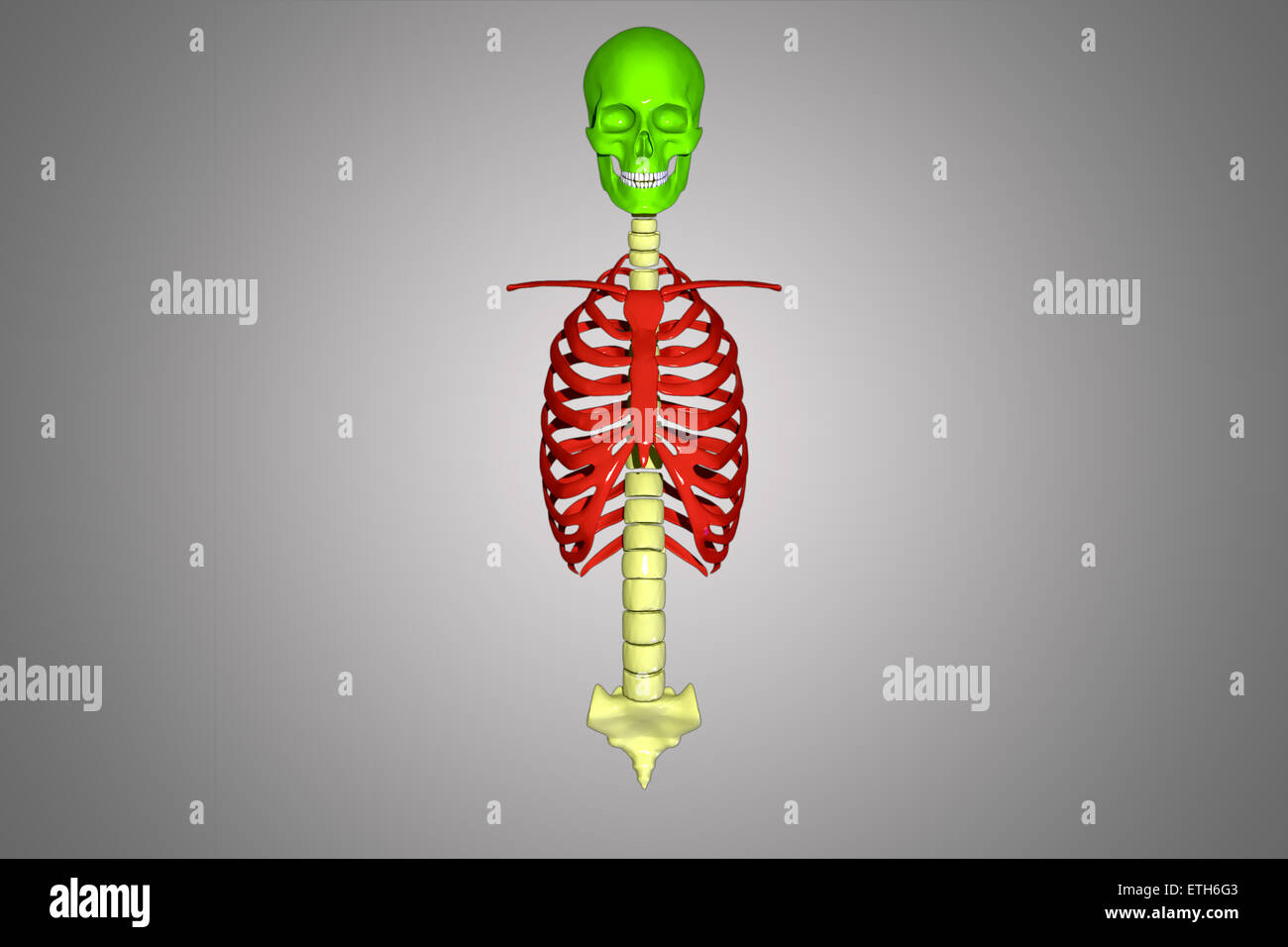 Ribs pain hi-res stock photography and images - Alamy