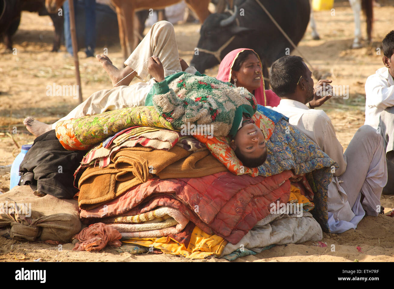 Rajasthani family relaxing. Pushkar fair, Rajasthan, India Stock Photo ...