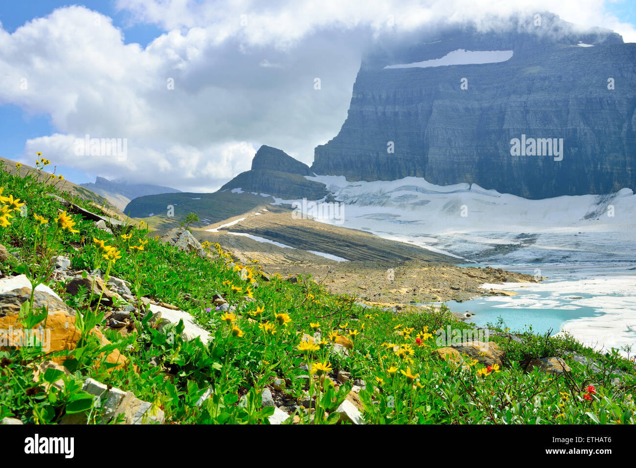 wild flowers and clouds by Grinnell glacier in Many Glaciers, Glacier National Park, Montana ...