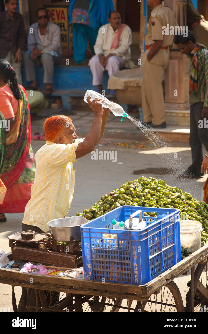 Vegetable seller, Pushkar, Rajasthan, India Stock Photo - Alamy