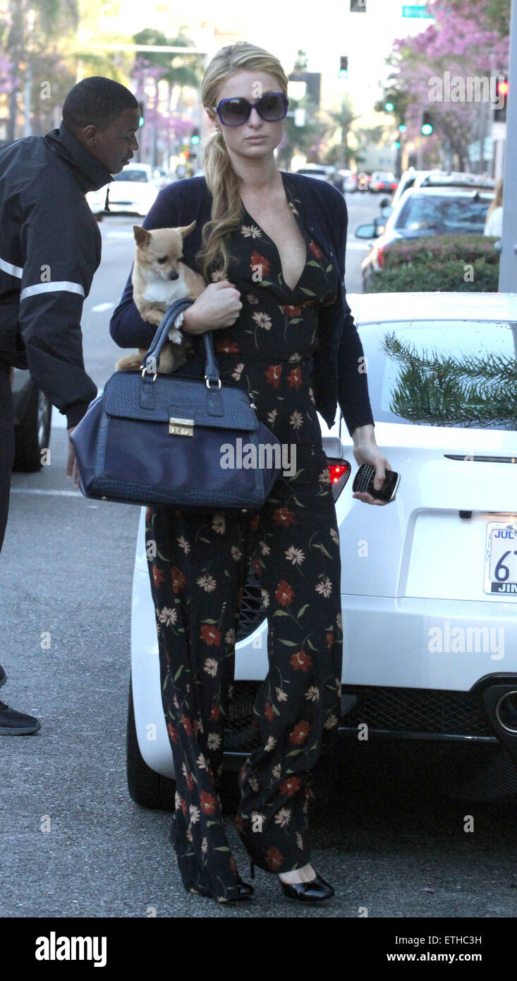 Paris Hilton takes her pet dog Chihuahua, Peter Pan as she runs errands ...