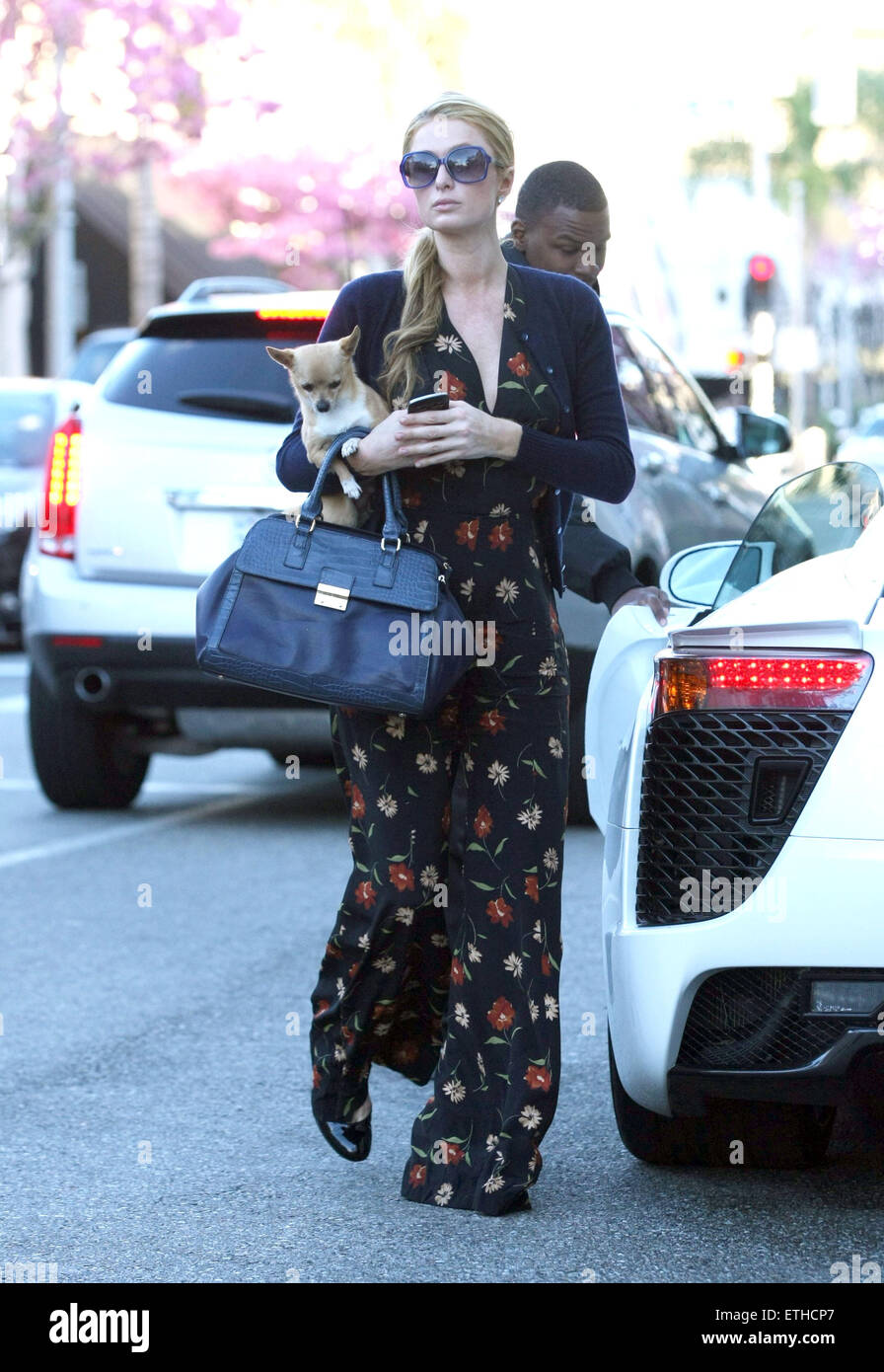 Paris Hilton takes her pet dog Chihuahua, Peter Pan as she runs errands ...