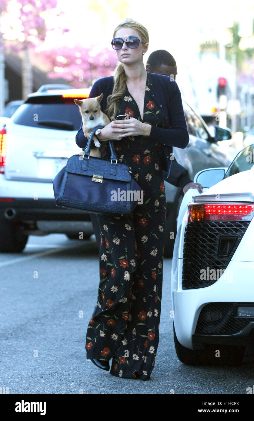 Paris Hilton takes her pet dog Chihuahua, Peter Pan as she runs errands ...