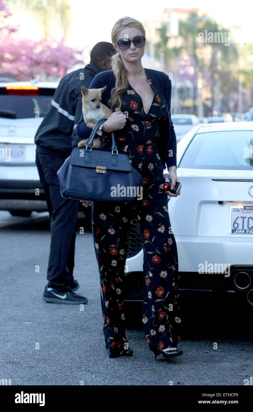 Paris Hilton takes her pet dog Chihuahua, Peter Pan as she runs errands ...