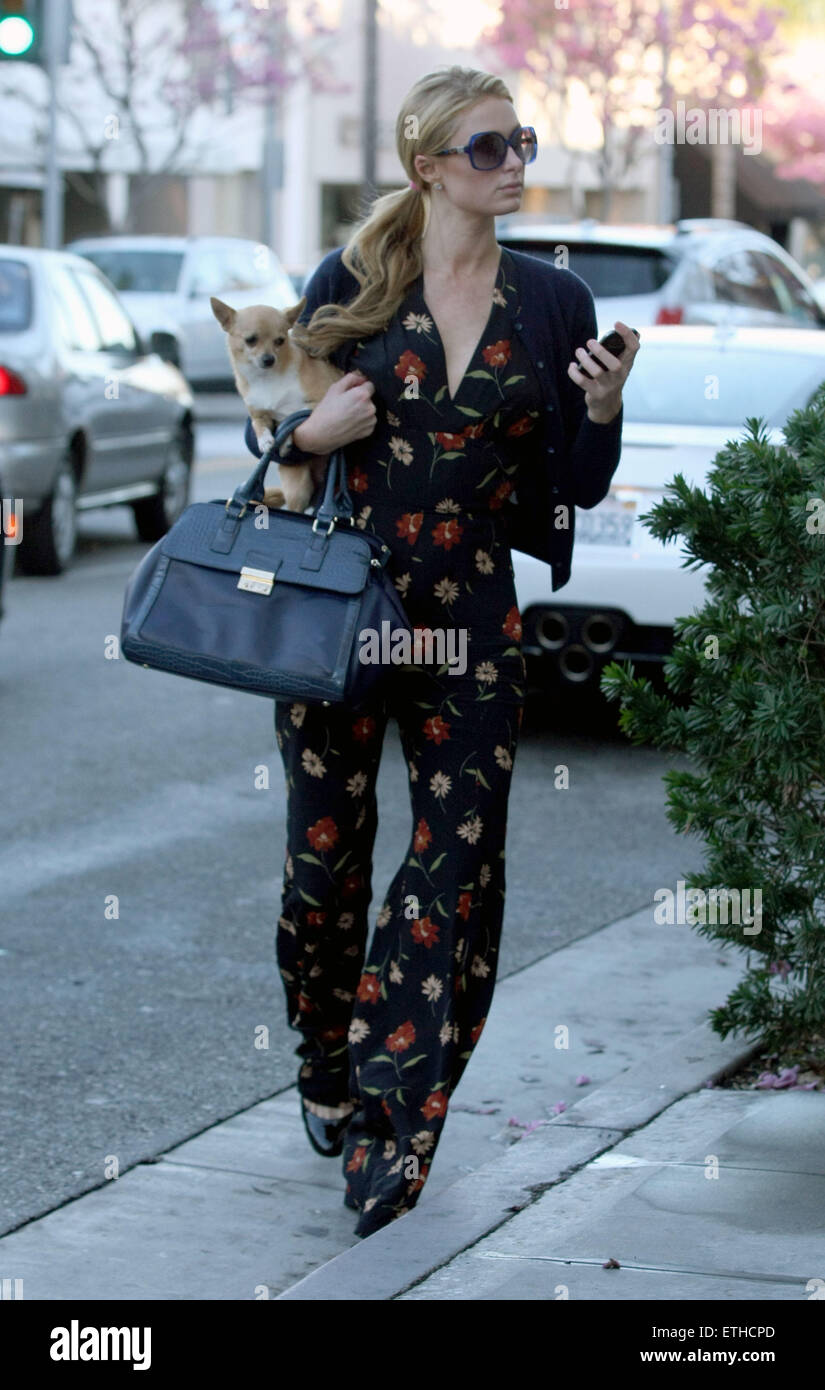Paris Hilton takes her pet dog Chihuahua, Peter Pan as she runs errands ...