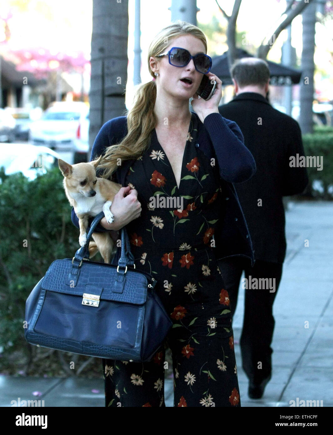Paris Hilton takes her pet dog Chihuahua, Peter Pan as she runs errands ...