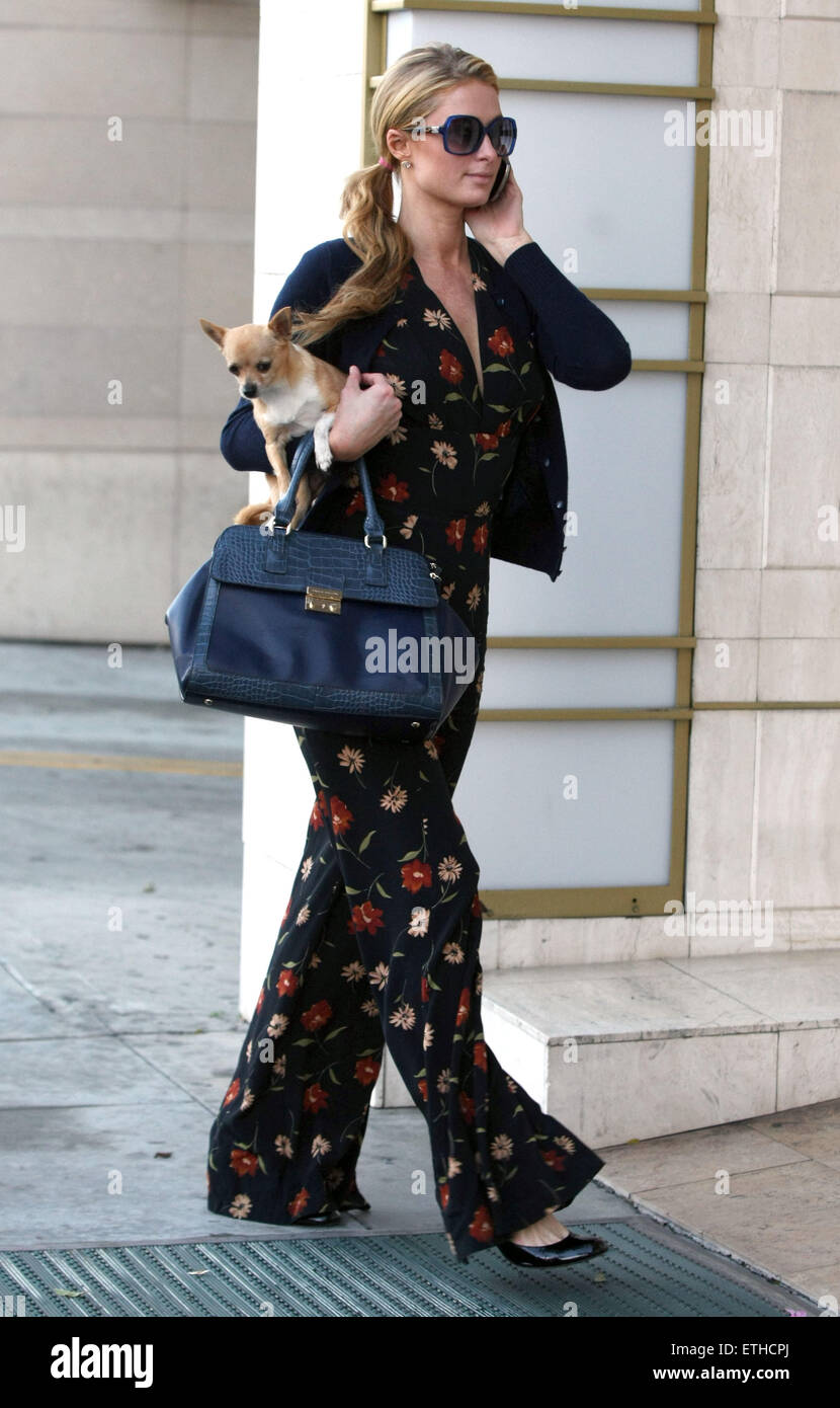 Paris Hilton takes her pet dog Chihuahua, Peter Pan as she runs errands ...