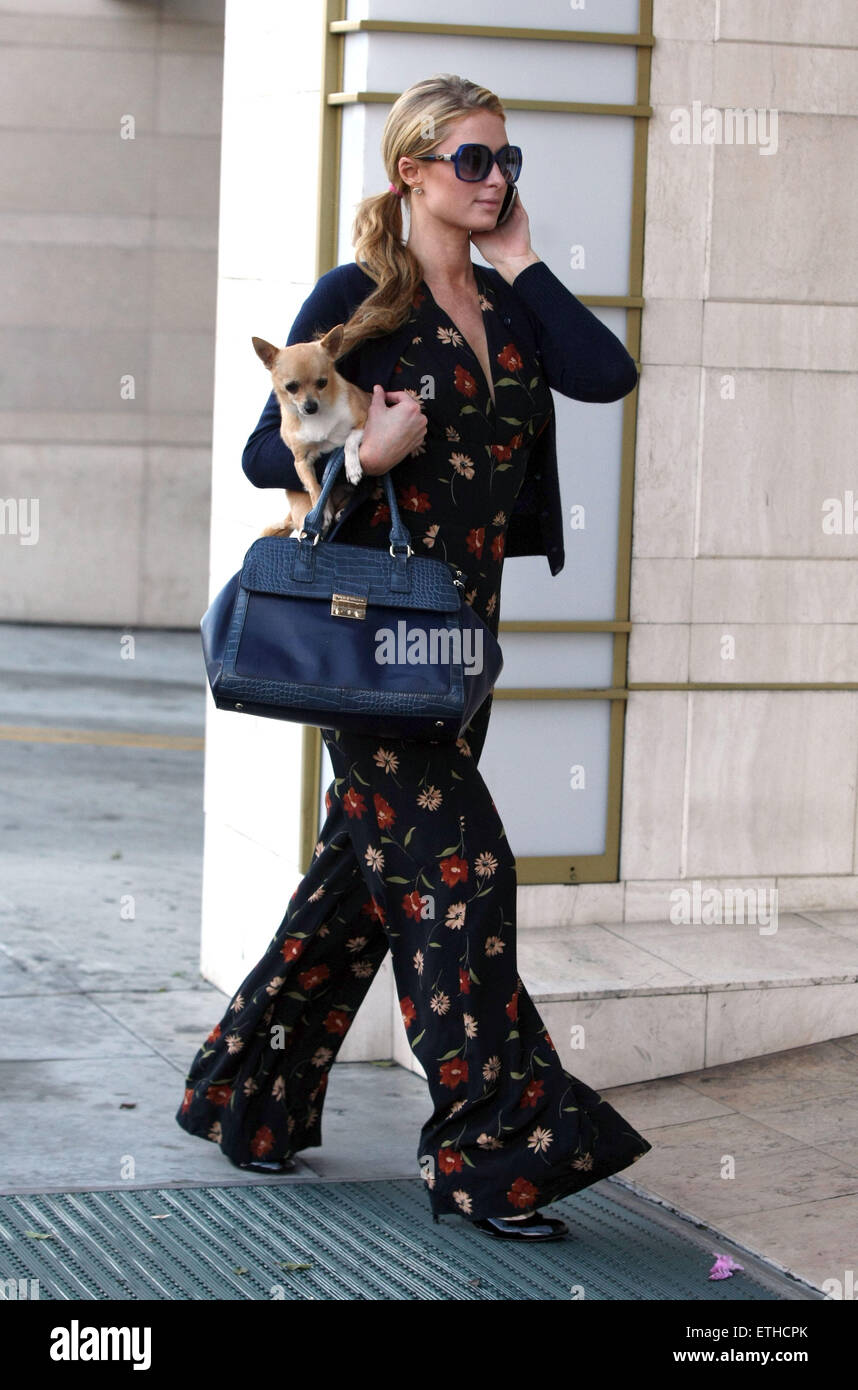 Paris Hilton takes her pet dog Chihuahua, Peter Pan as she runs errands ...
