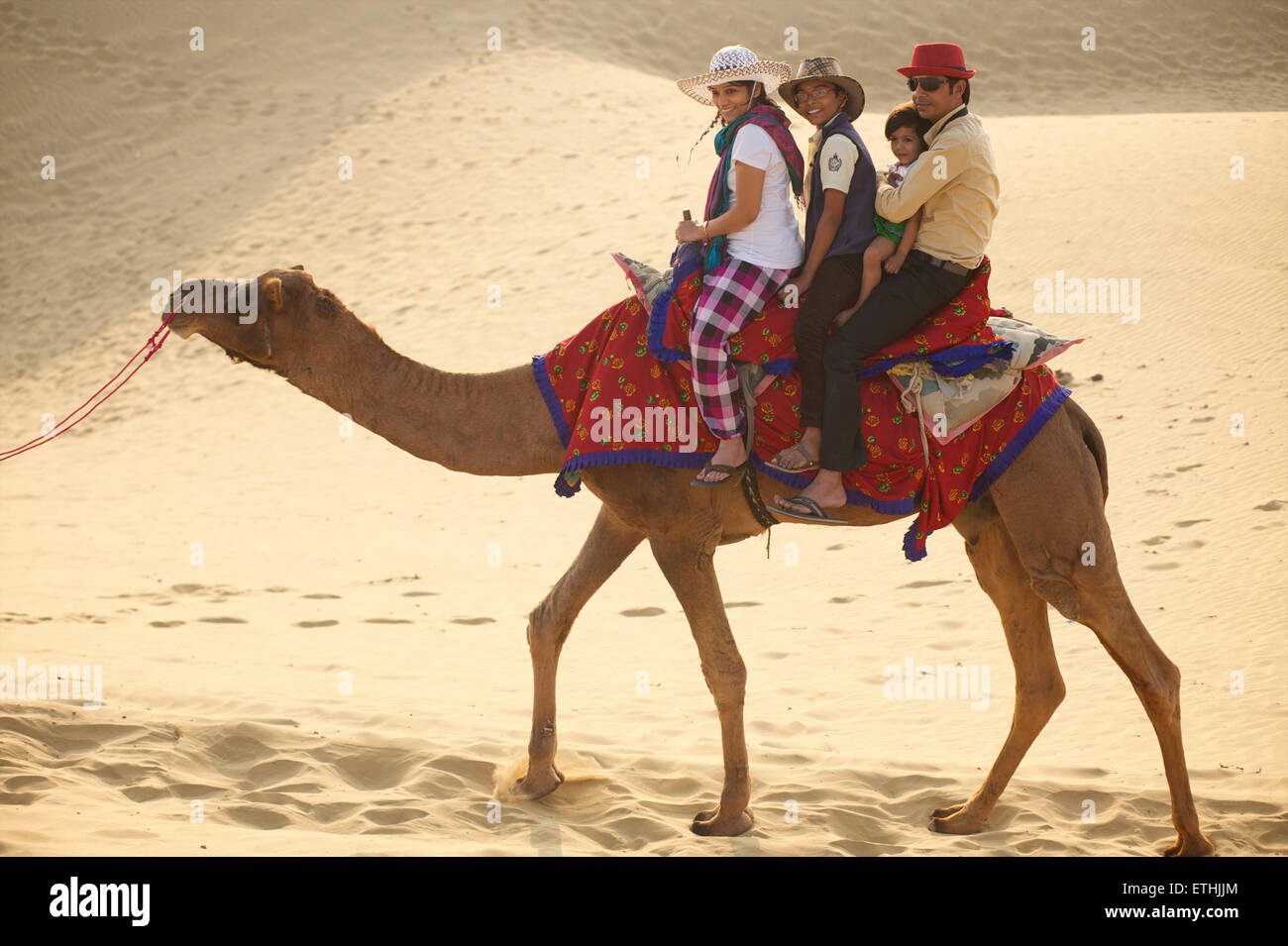 Camel riding in the Thar Desert at Sam, Rajasthan, India Stock Photo ...