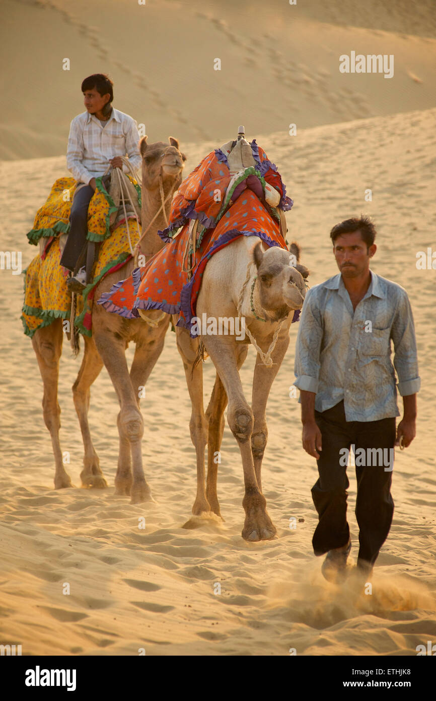 Camel riding in the Thar Desert at Sam, Rajasthan, India Stock Photo ...