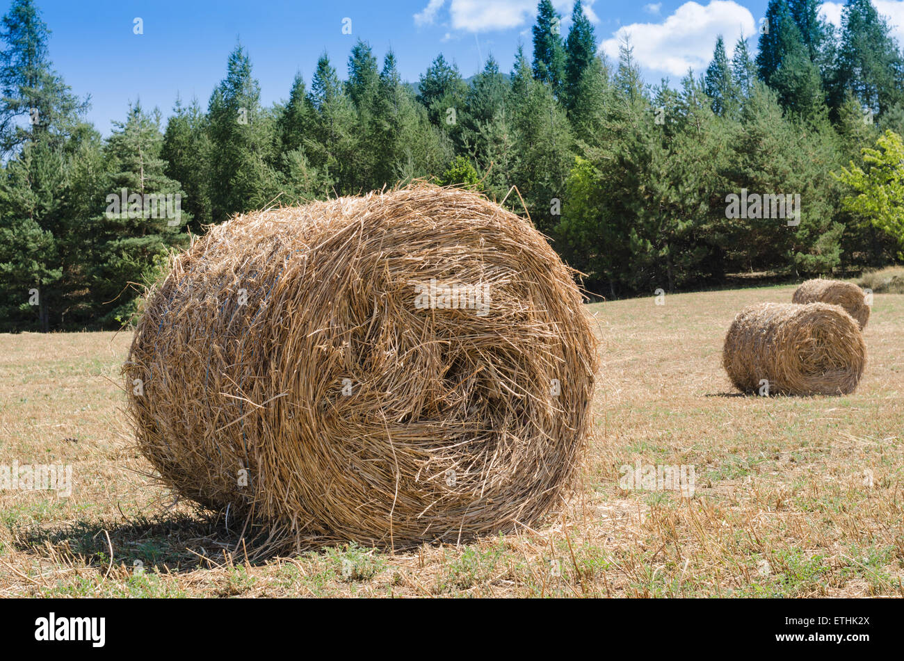 Rural landscape with hay bales Stock Photo - Alamy
