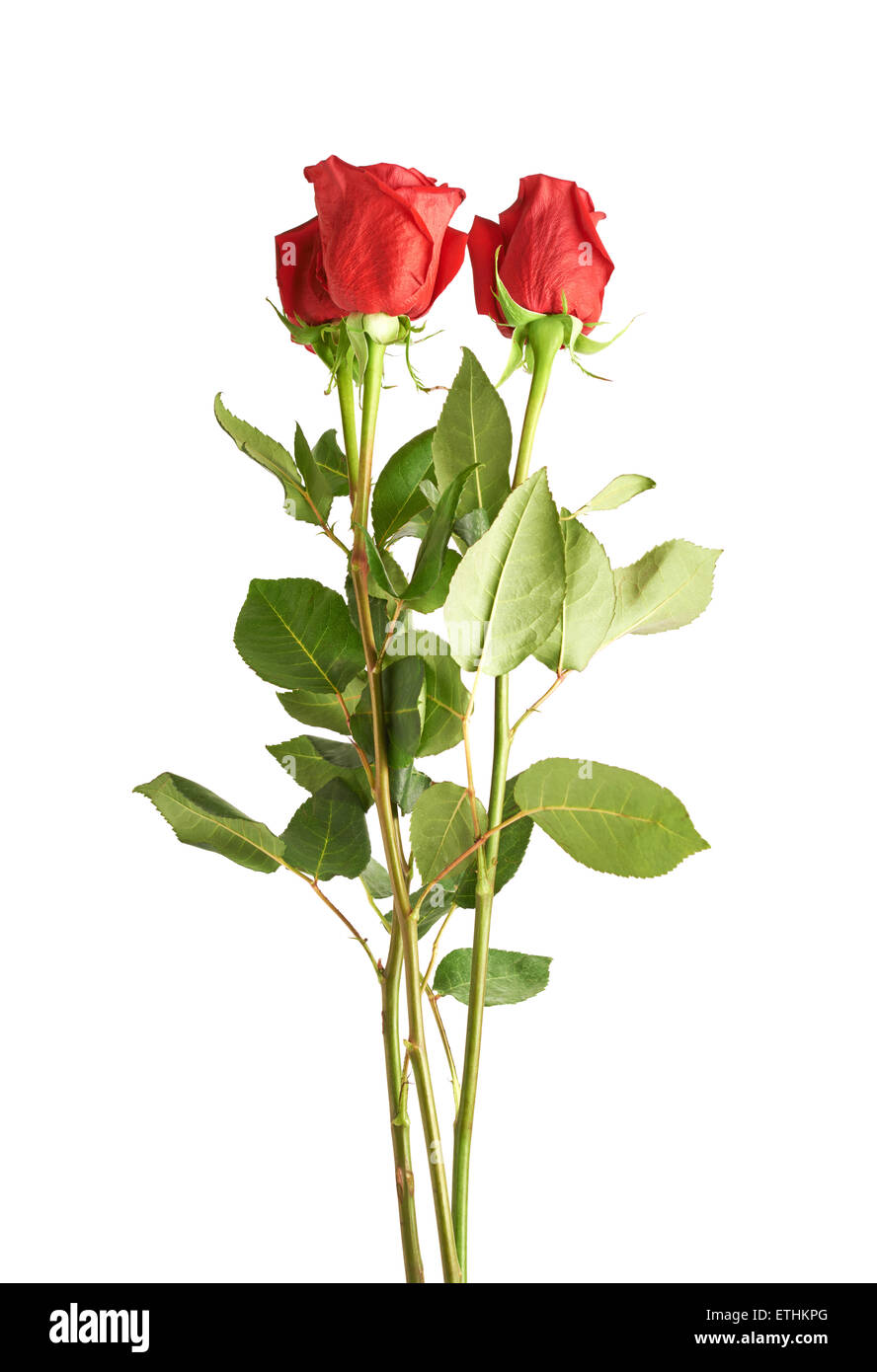 Three red roses composition Stock Photo - Alamy