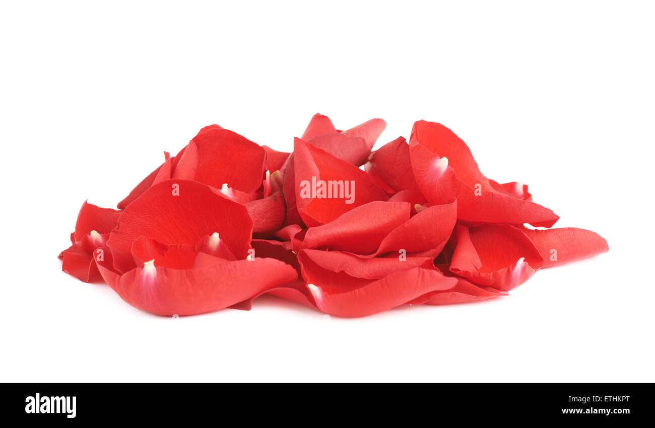 Red rose petals composition Stock Photo - Alamy