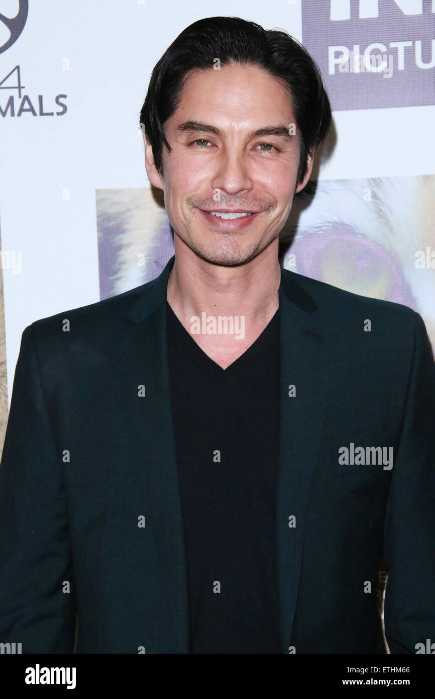 'Give Me Shelter' Los Angeles Premiere Featuring: Michael Teh Where ...