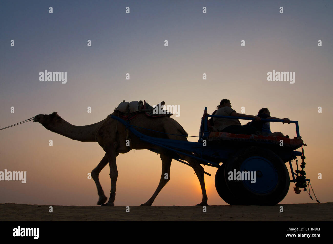 Camel riding in the Thar Desert at Sam, Rajasthan, India Stock Photo ...
