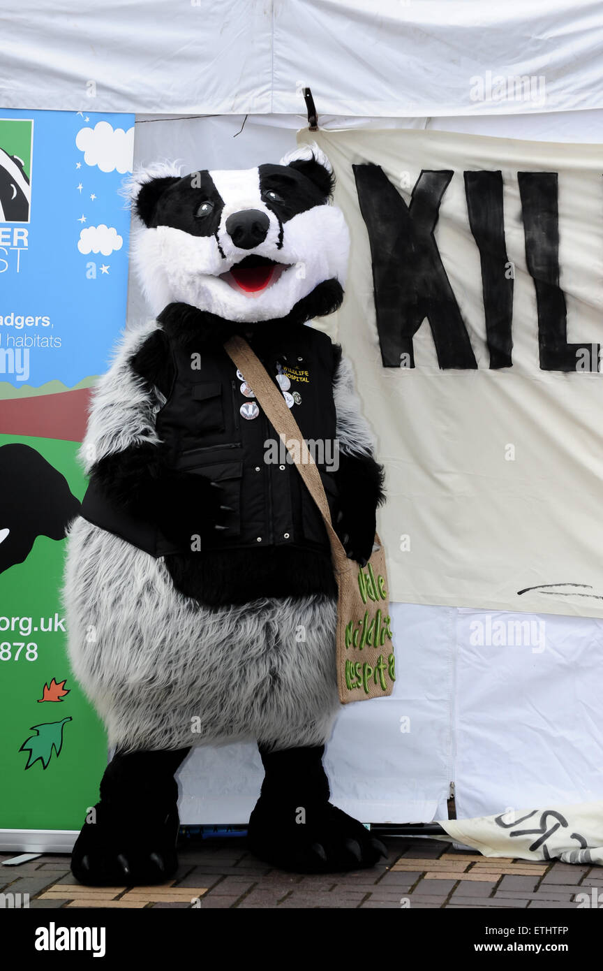 Birmingham Wildlife Festival and Badger March Featuring: Atmosphere ...