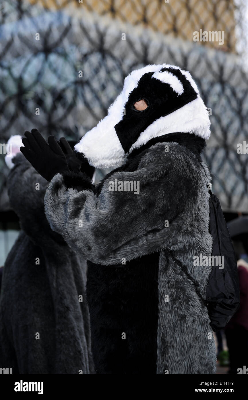 Badger birmingham wildlife hi-res stock photography and images - Alamy