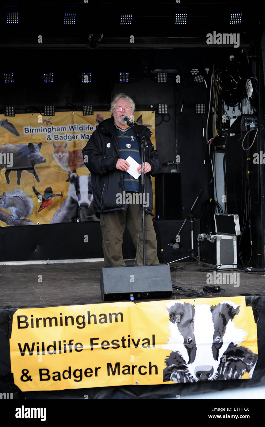 Badger birmingham wildlife hi-res stock photography and images - Alamy