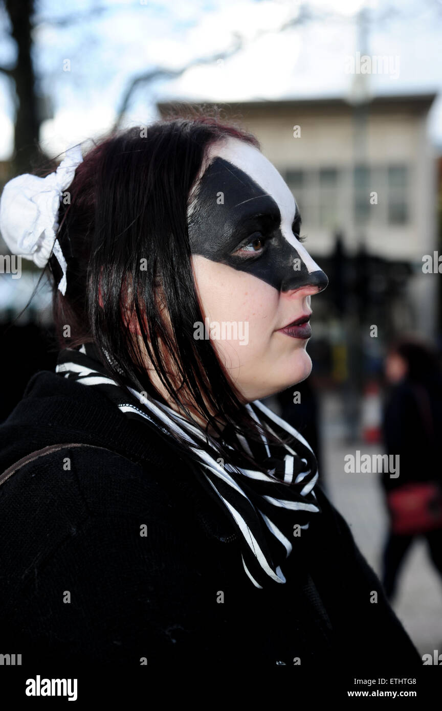 Badger birmingham wildlife hi-res stock photography and images - Alamy