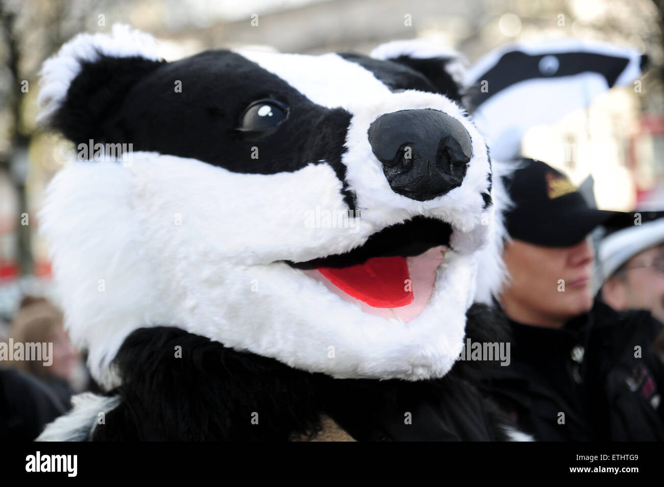 Birmingham wildlife festival hi-res stock photography and images - Alamy