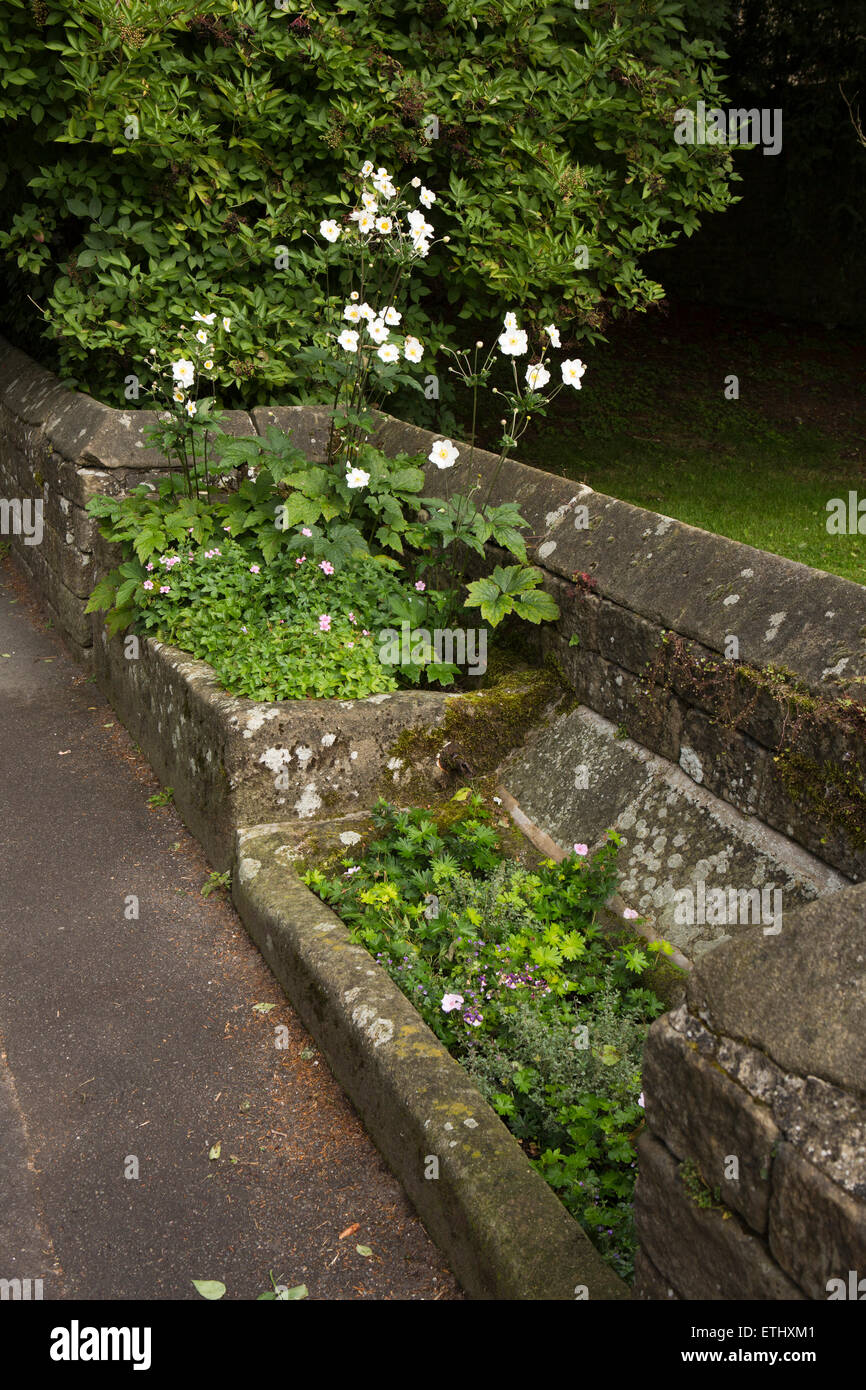 Outside troughs hi-res stock photography and images - Alamy