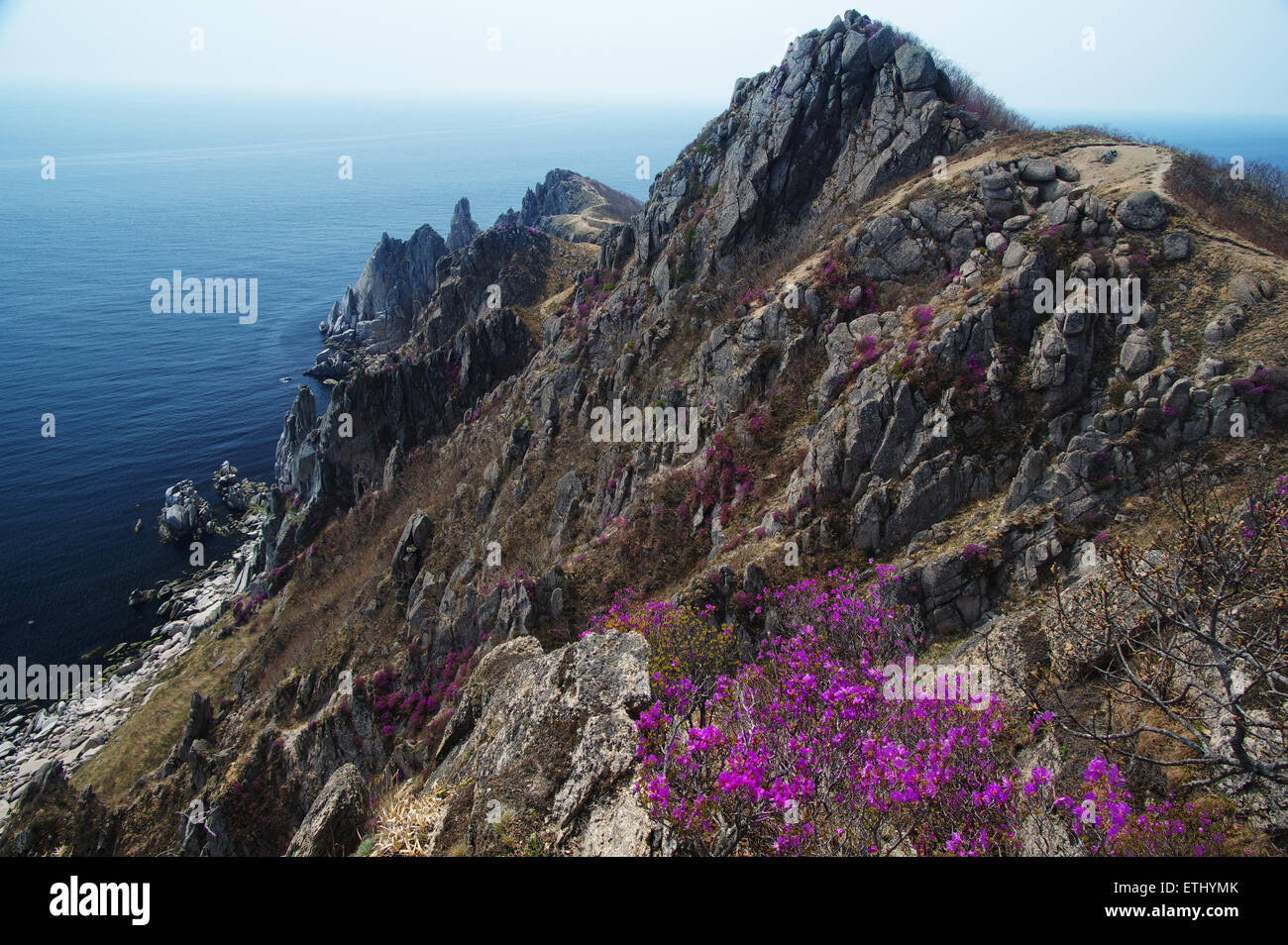 East coast of russia hi-res stock photography and images - Alamy