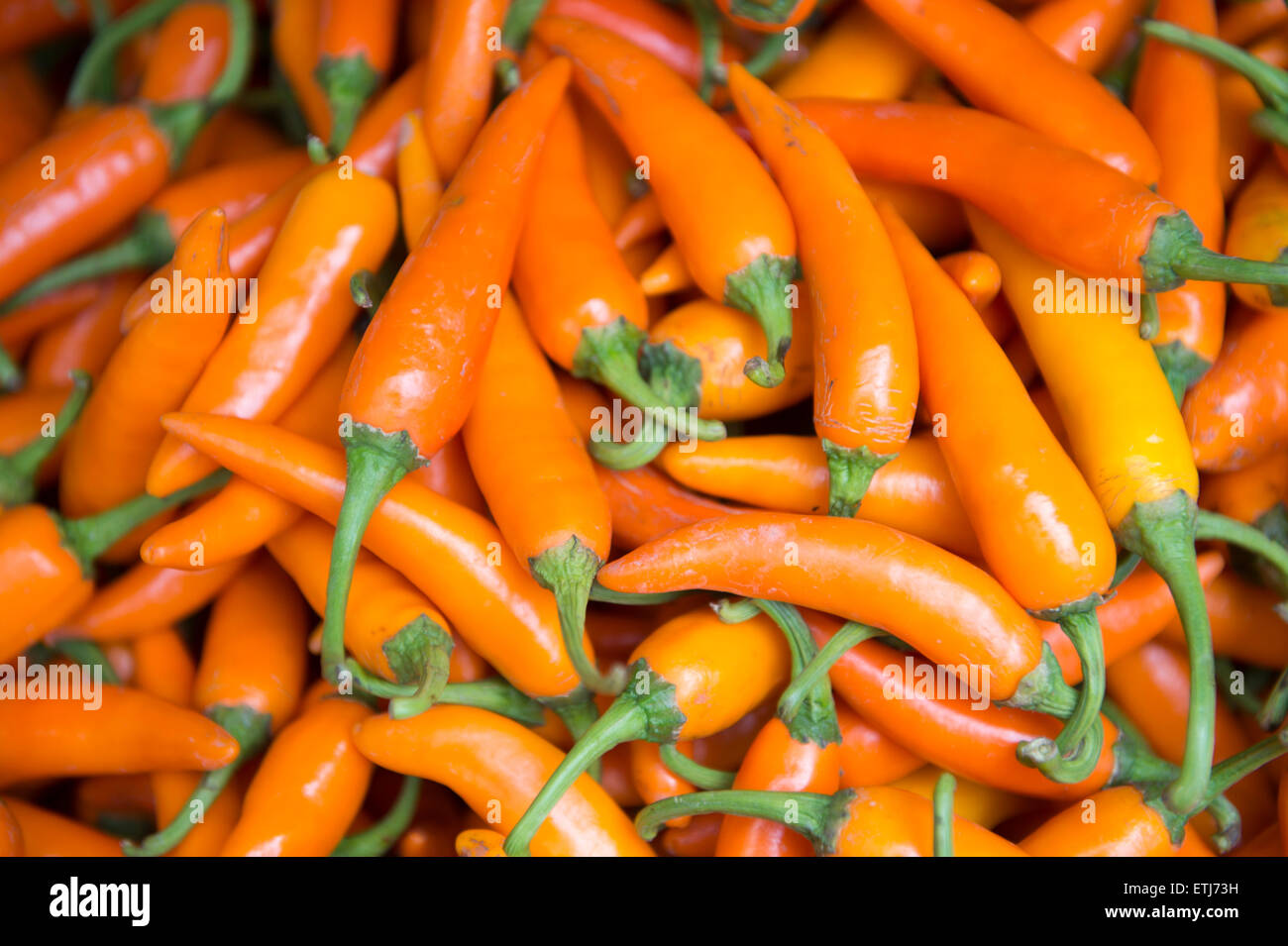 Pile of fresh red chili peppers on display in a pile at an outdoor ...