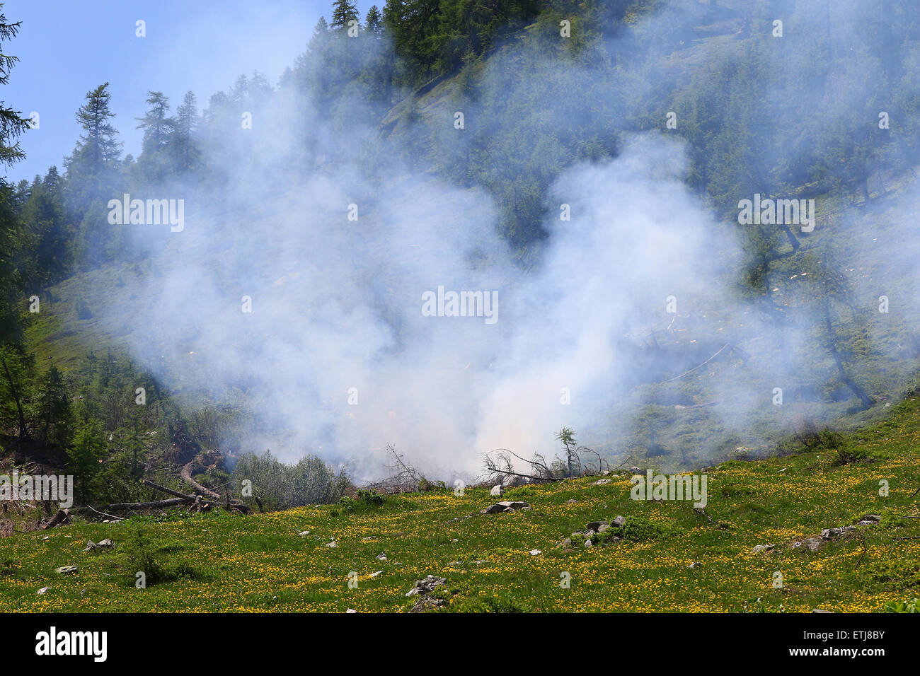 Fire flames smoke hi-res stock photography and images - Alamy