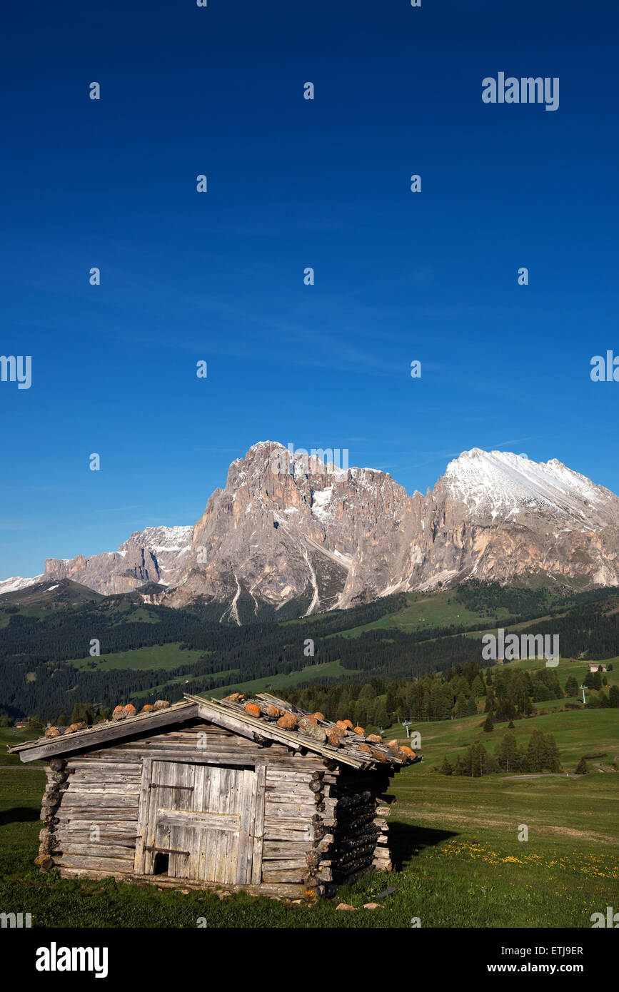 seiser alp, compatsch, south tyrol, italy Stock Photo - Alamy