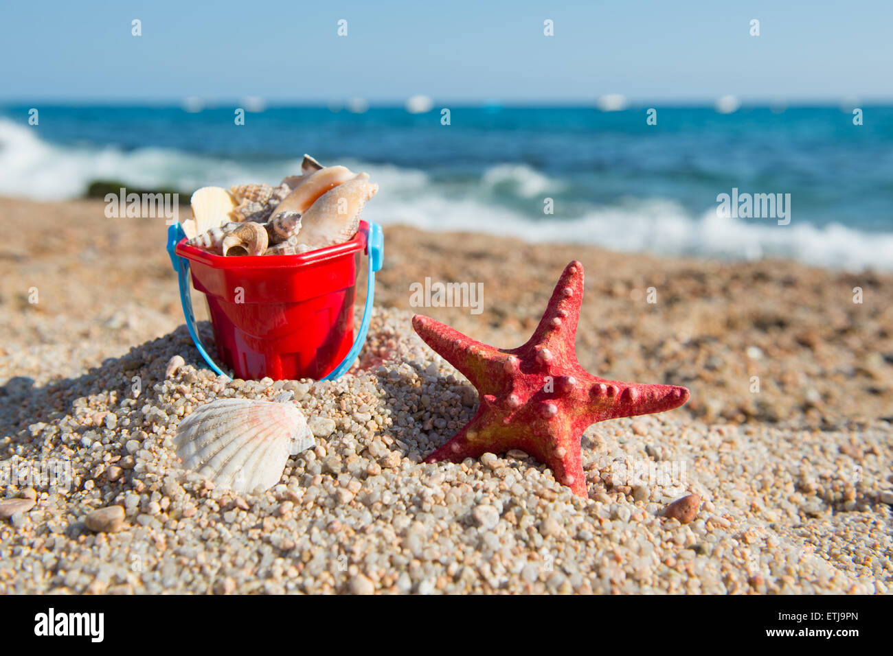 Shells in red plastic bucket at the beach Stock Photo - Alamy