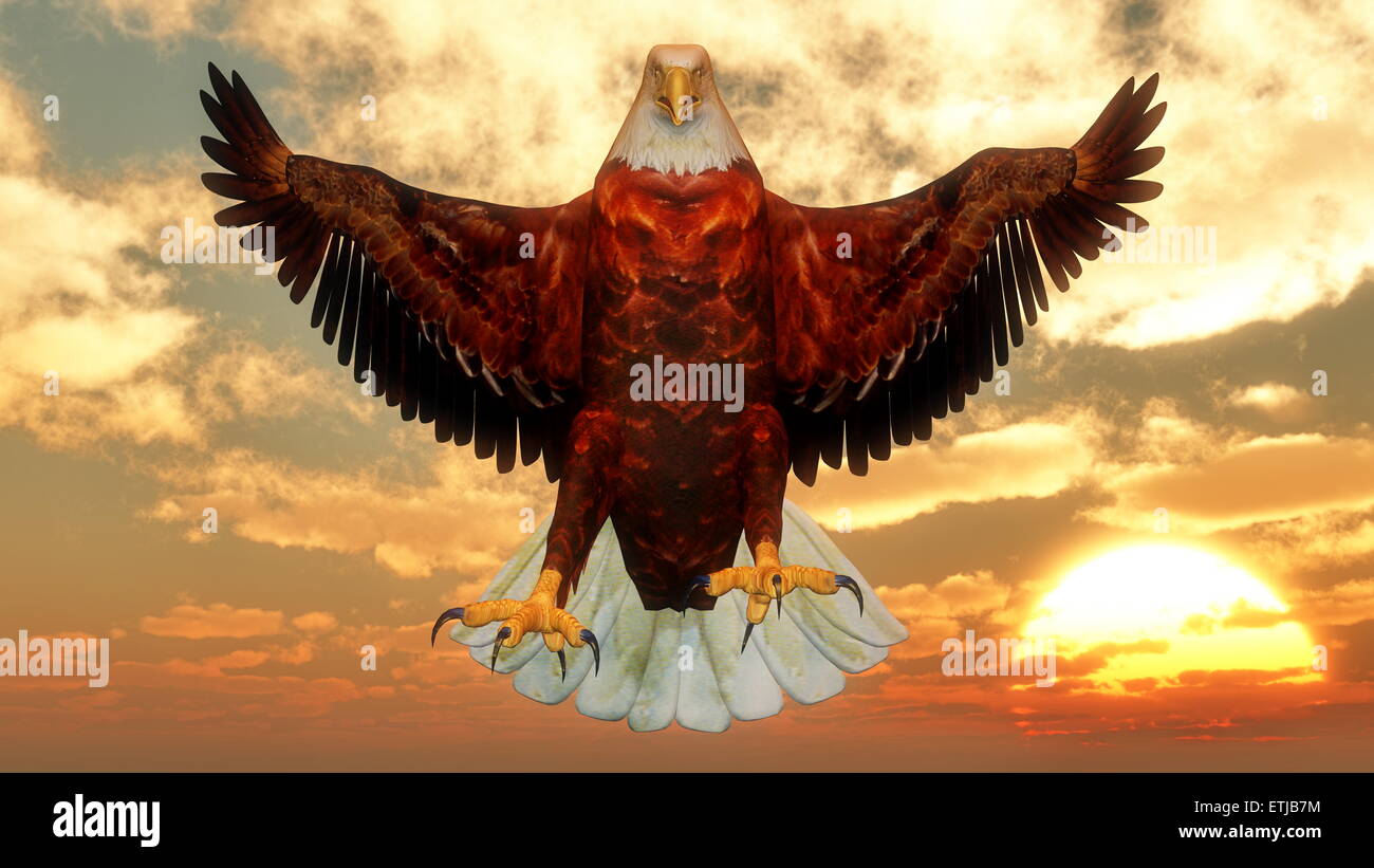 Soaring Eagle Sunset