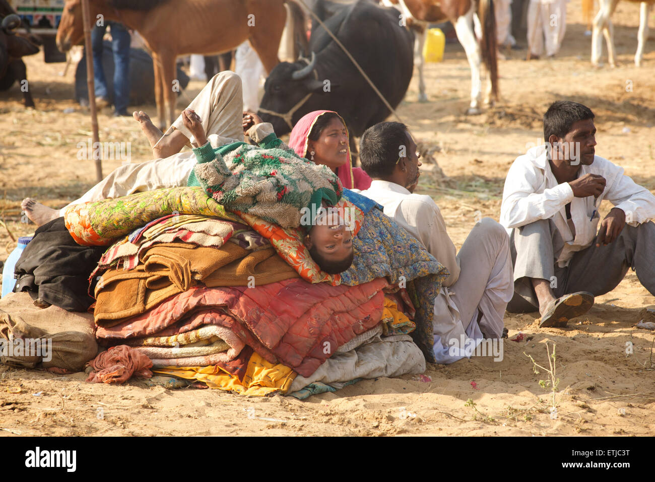 Rajasthani family relaxing. Pushkar fair, Rajasthan, India Stock Photo ...