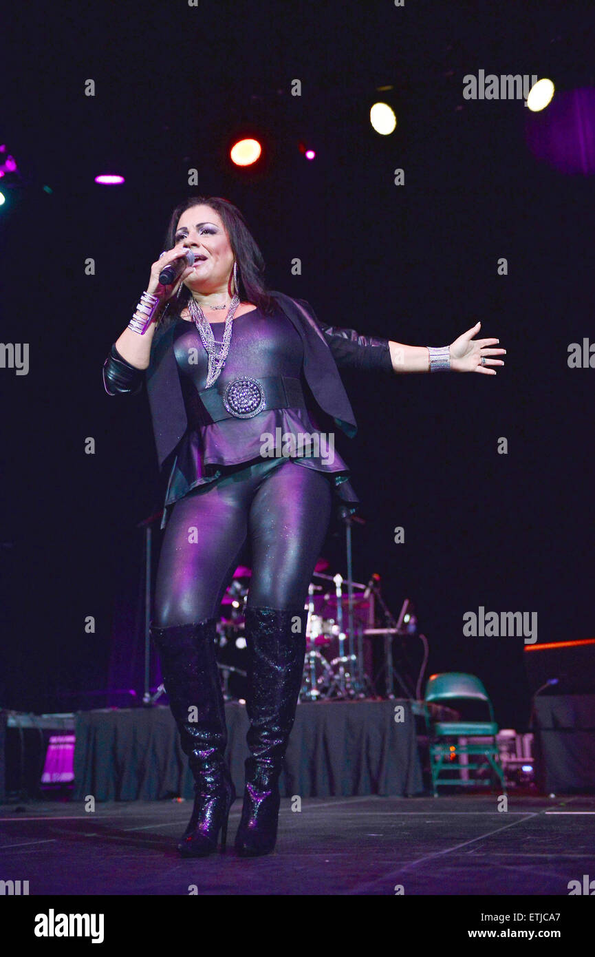 'Super Freestyle Explosion' concert featuring Lisa Lisa at the ...