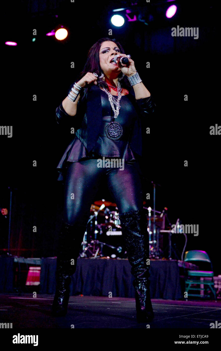 'Super Freestyle Explosion' concert featuring Lisa Lisa at the ...