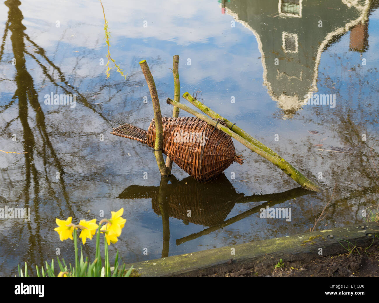 Reed breeding hi-res stock photography and images - Alamy