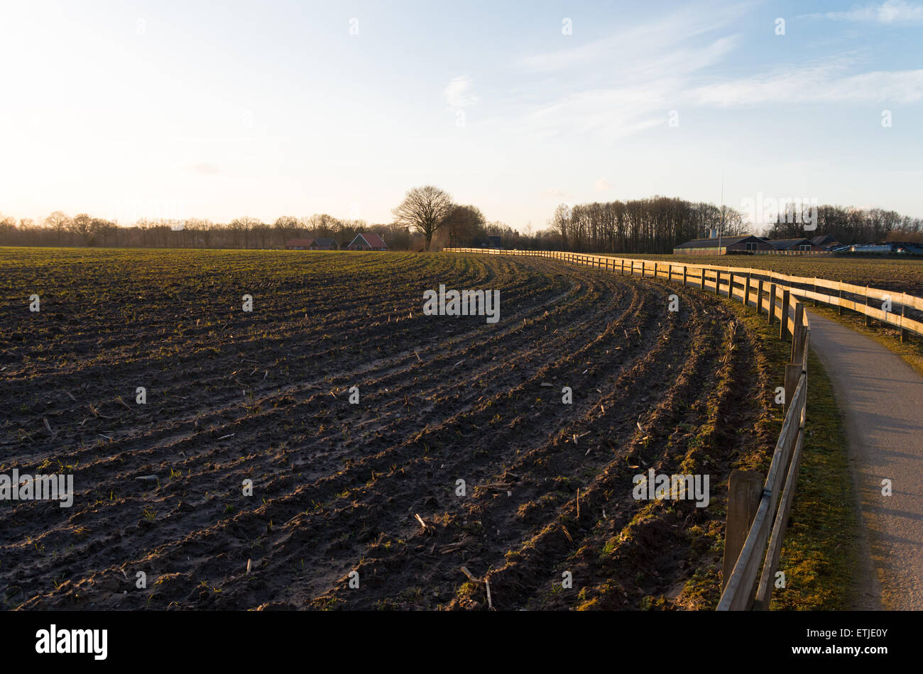 agricultural field in early springtime Stock Photo - Alamy