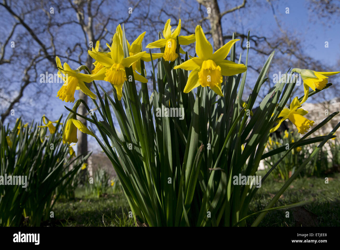 Sunny spring weather in Central London Featuring: Atmosphere Where ...