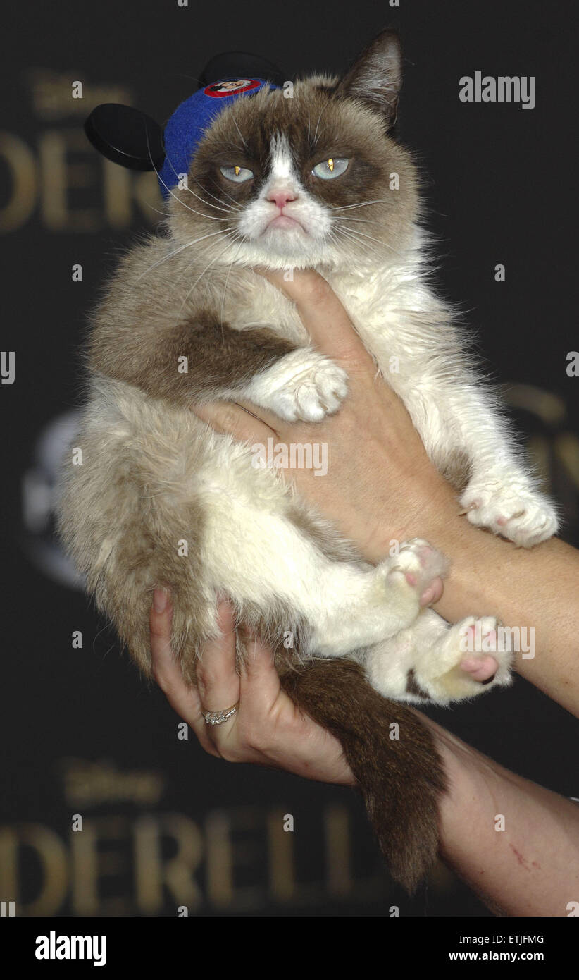 Los Angeles premiere of Disney's 'Cinderella' at at the El Capitan ...