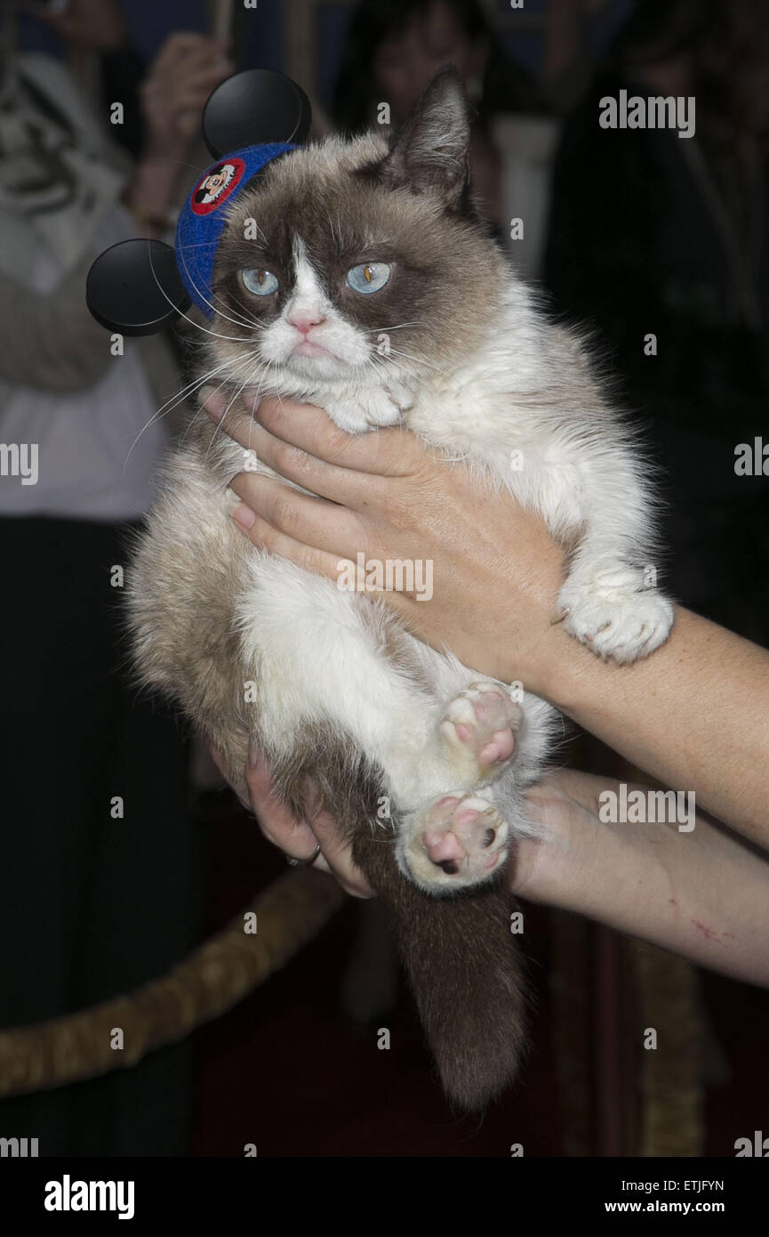 Los Angeles premiere of Disney's 'Cinderella' at at the El Capitan ...