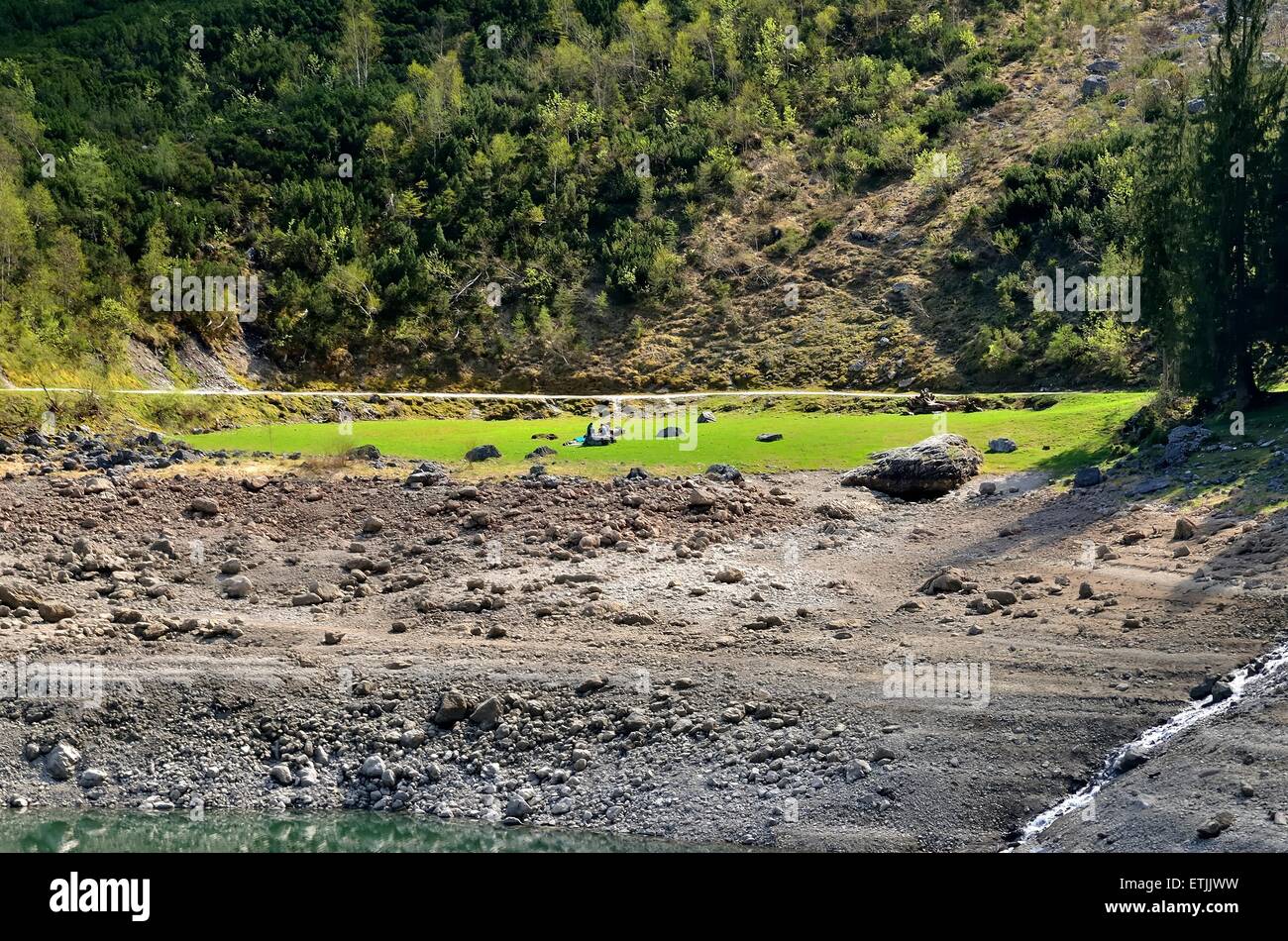 Grassland glade hi-res stock photography and images - Alamy