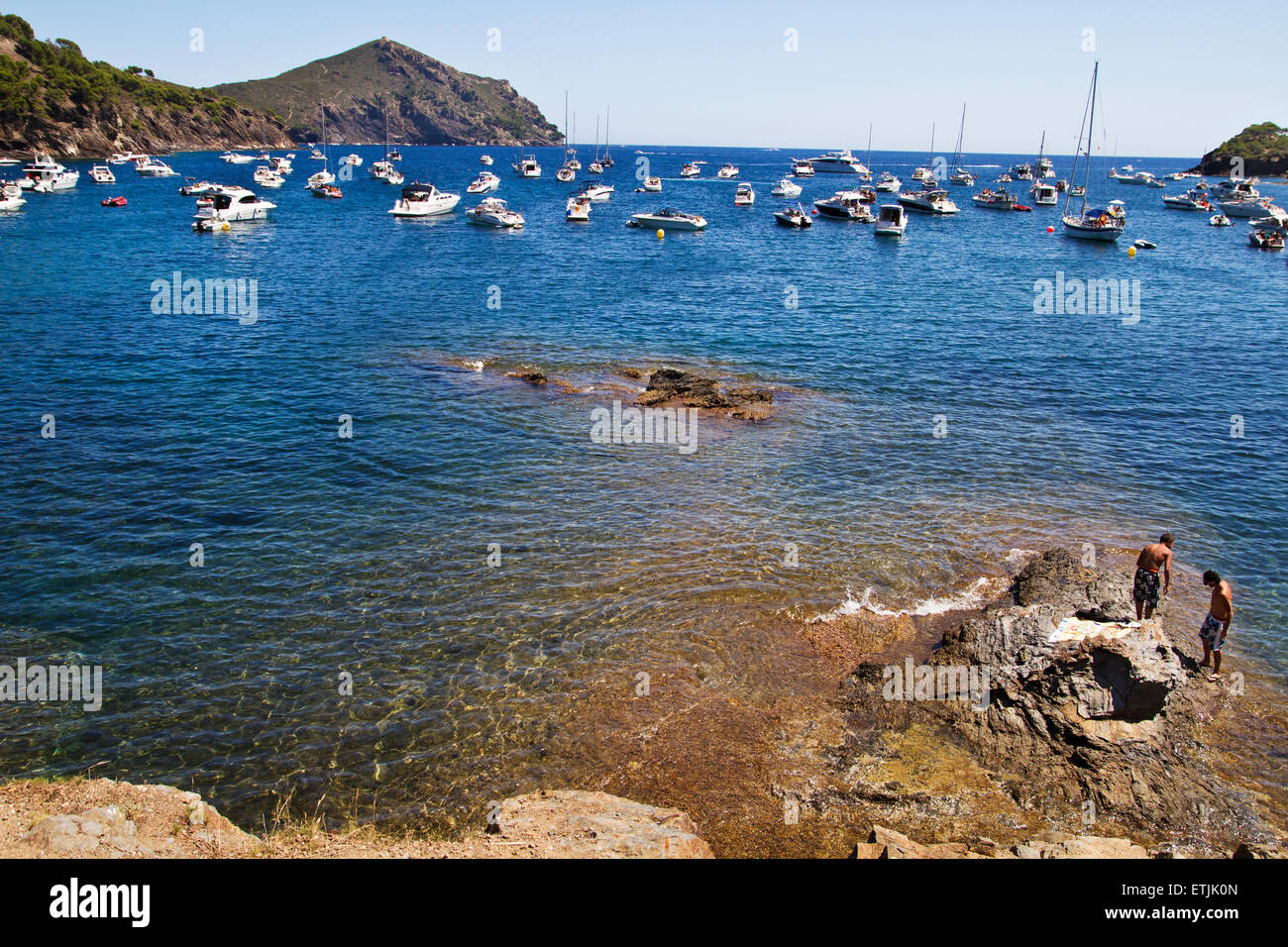 Beach roses costa brava roses hi-res stock photography and images - Alamy