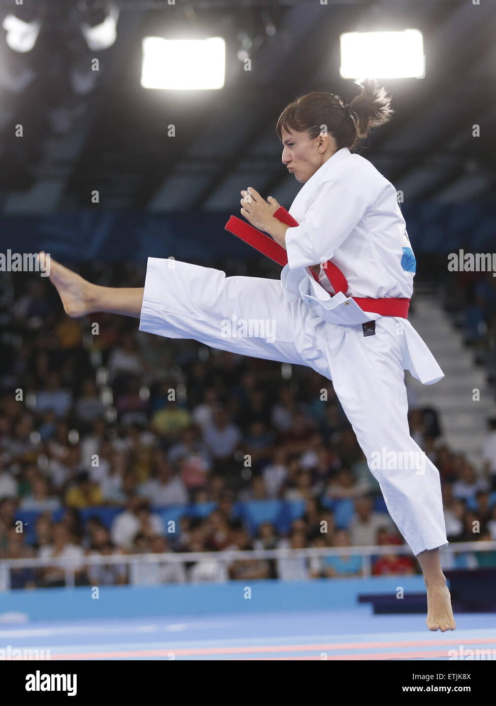 Sandra Sanchez Karate High Resolution Stock Photography and Images - Alamy