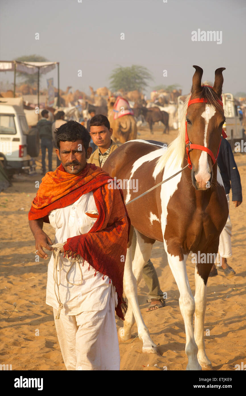 Man with horse, Pushkar fair, Rajasthan, India Stock Photo - Alamy